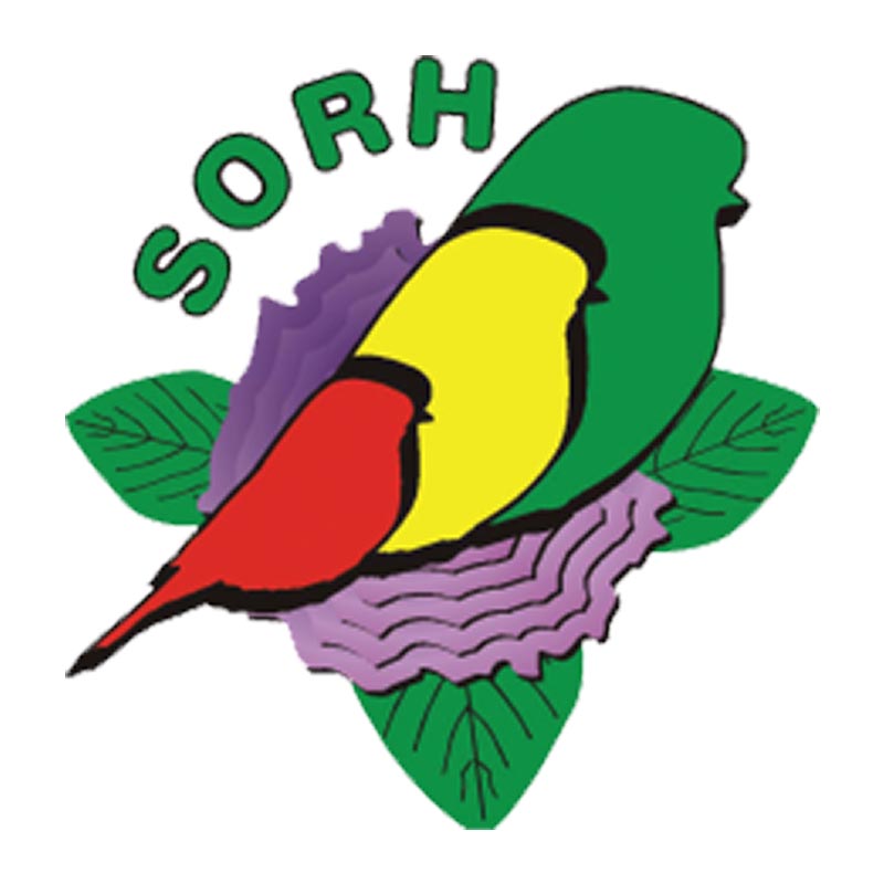 Clubes Estado do Rio Grande do Sul