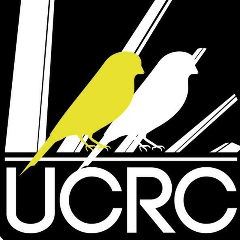 Clubes Estado de Santa Catarina